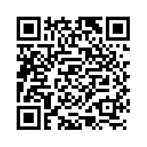 西部陆海新通道“广西防城港—重庆綦江”首趟货运班列抵渝-新华网